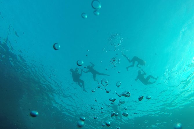 Kayak & Snorkel Ibiza Experience Review - Snorkeling Experiences