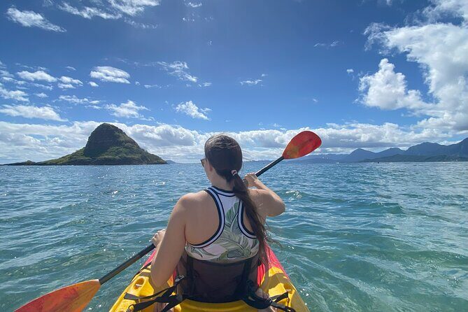 Kayak Stand Up Paddle Board SUP Rental - The Value of the Price Point