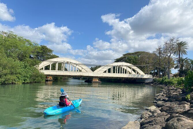 Kayak Stand Up Paddle Board SUP Rental - Who Will Love This Experience?
