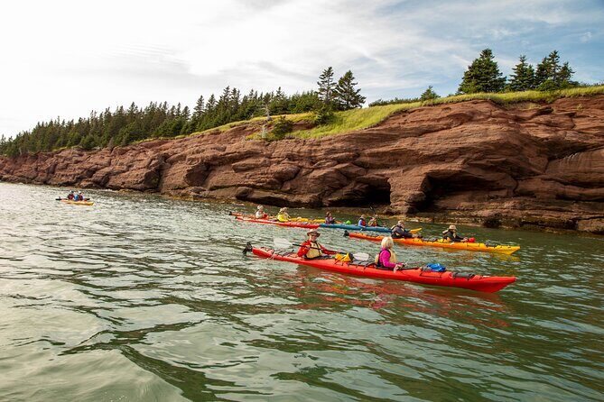Kayak the Bay of Fundy Sea Caves - The Reviews Speak Volumes