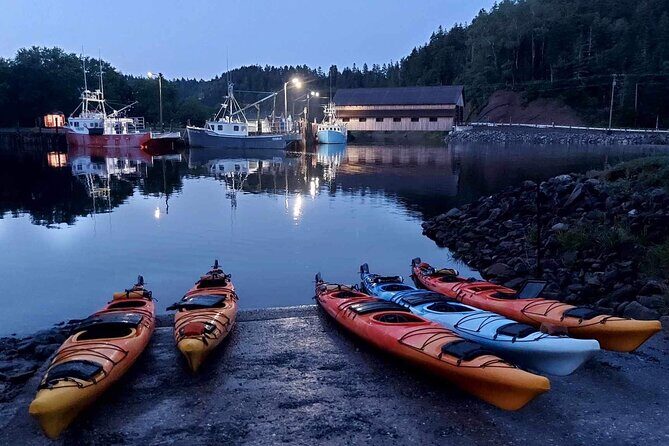 Kayak the Bay of Fundy Sea Caves - Who Is This Tour Best For?