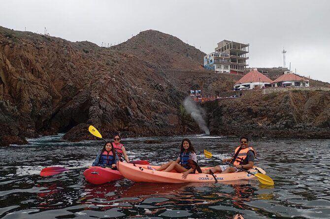 Kayak The Jacket and Flea market Private Tour - Key Points