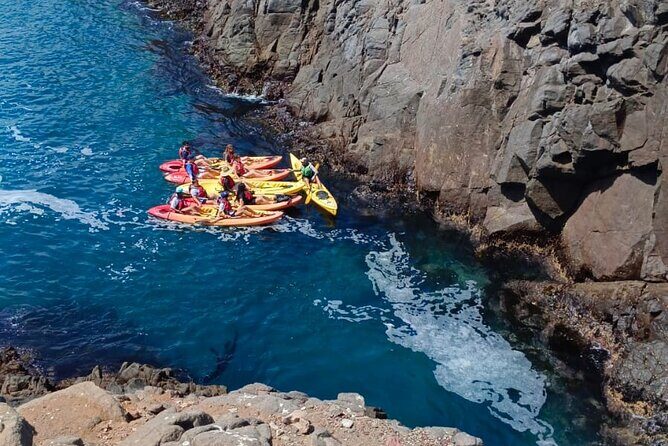 Kayak The Jacket and Flea market Private Tour - Exploring Ensenada by Kayak and Land