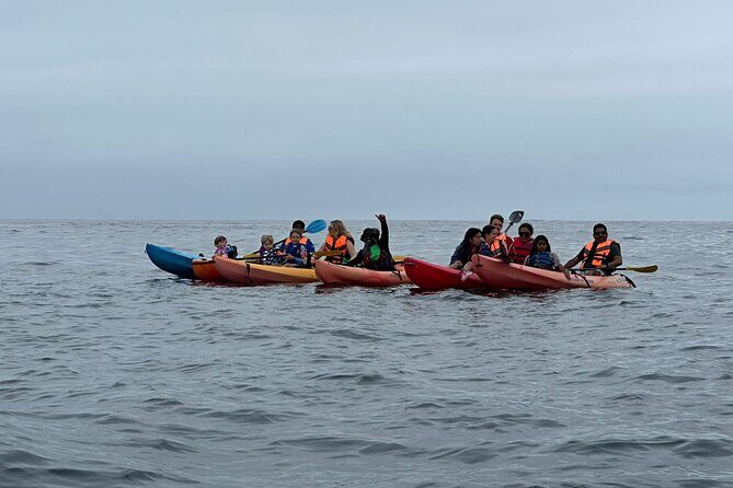 Kayak The Jacket and Flea market Private Tour - Value and Practical Considerations