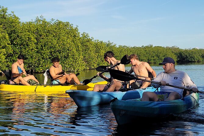 Kayak through Mangrove Forests in the Florida Keys - Why This Tour Is Worth Considering
