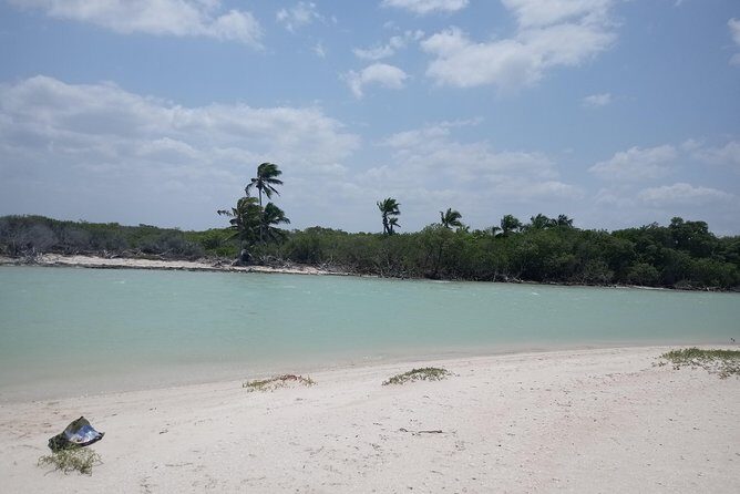 kayak through mangroves to secret beach - A Full Breakdown of the Kayak Through Mangroves to a Secret Beach Tour