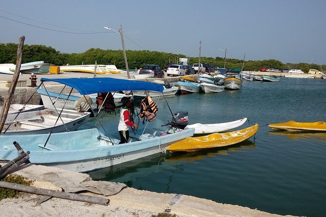 kayak through mangroves to secret beach - The Sum Up