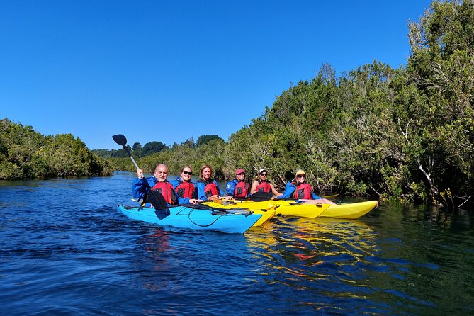 Kayak Through the Sunken Forest of the Maullín River - Wildlife Encounters on the Water