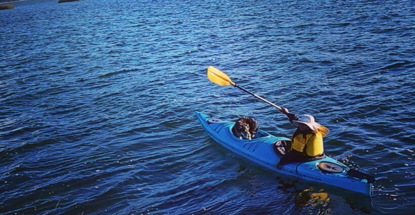 Kayak titicaca uros - Why This Tour Offers Great Value