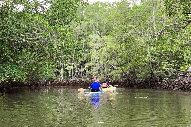 Kayak to the Heart of the National Park - Spotting the Local Wildlife
