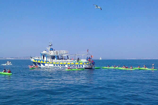 Kayak Tour - Introduction