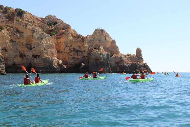 Kayak Tour - Who Is This Tour Best For?