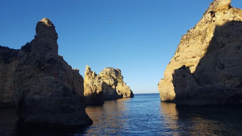 Kayak tour - A Closer Look at the Experience