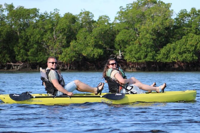 Kayak Tour Adventure Marco Island and Naples Florida - The Sum Up