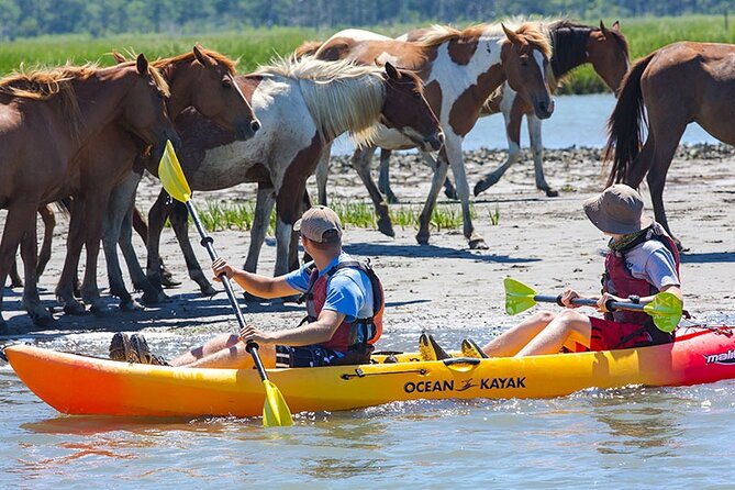 Kayak Tour along Assateague & Chincoteague Island, Virginia - Introduction: A Close Encounter with Virginia’s Wild Side