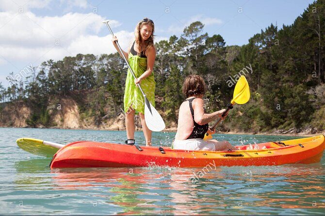 Kayak Tour and Rental - The Experience in Detail