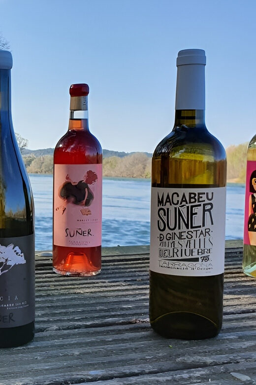 Kayak tour and Wine tasting at the Ebro river - What the Reviews Say