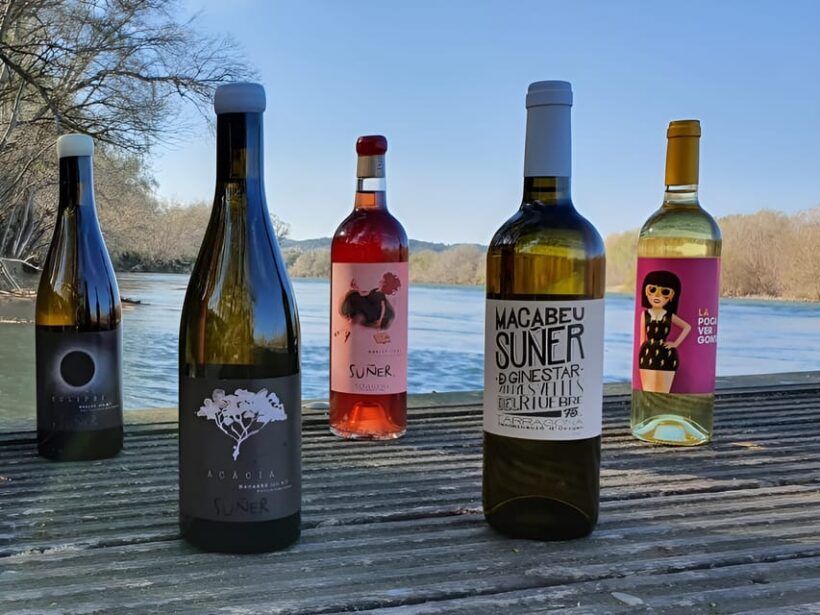 Kayak tour and Wine tasting at the Ebro river - Who Will Love This Tour?