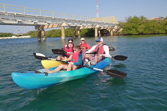 Kayak Tour at Mangel Halto and Spanish Lagoon - The Sum Up: Why This Tour Deserves a Spot on Your Aruba List