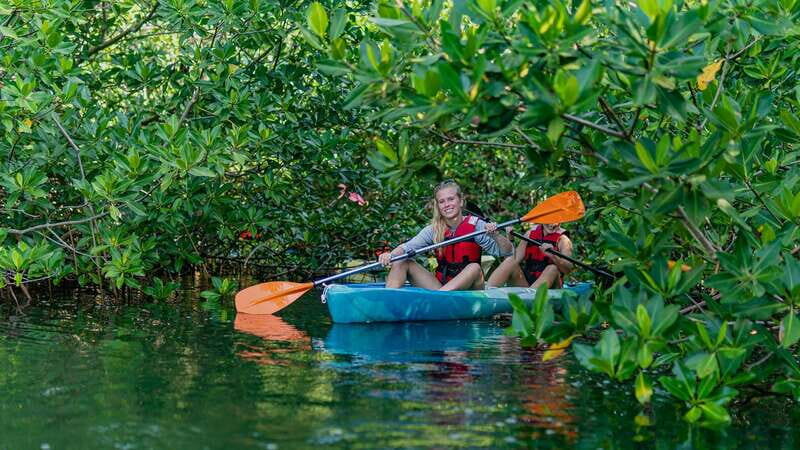 Kayak Tour in Cancun with Photos included - An Authentic Look at the Kayak Tour in Cancun