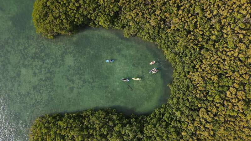 Kayak Tour in Cancun with Photos included - Deep Dive into the Experience