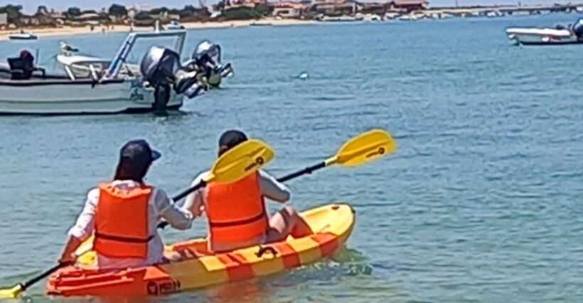 Kayak Tour in Ria Formosa - Olhão - Who Will Love This Experience?