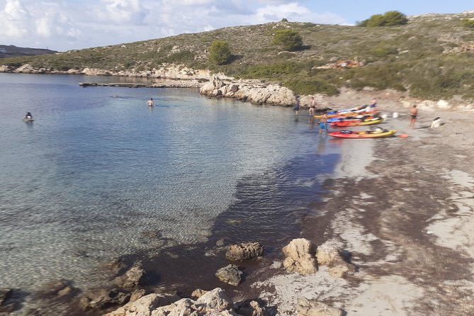 Kayak Tour in the Marine Reserve ! - Tour Inclusions and Logistics
