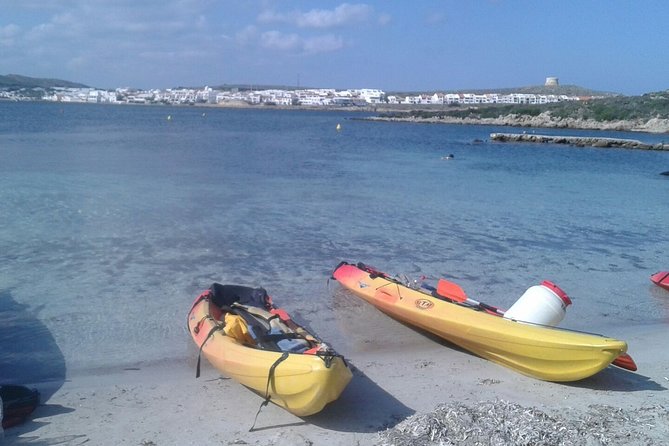 Kayak Tour in the Marine Reserve ! - Confirmation and Languages