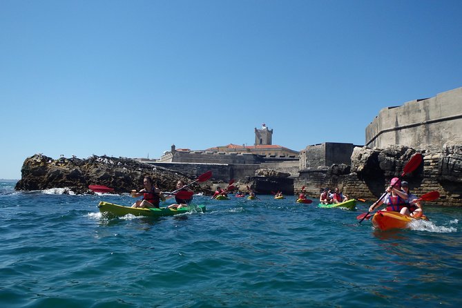 Kayak Tour of Lisbon Review - Meeting Point and Logistics