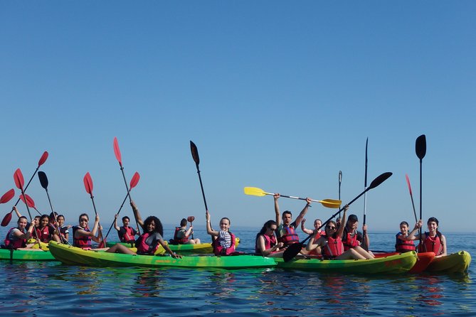 Kayak Tour of Lisbon Review - Post-Tour Relaxation