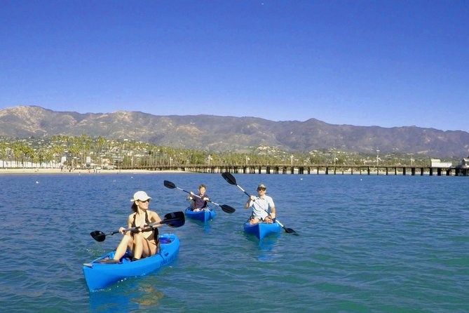 Kayak Tour of Santa Barbara with Experienced Guide - What to Expect During the Tour