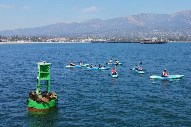 Kayak Tour of Santa Barbara with Experienced Guide - Private vs. Group Tours: Which is Better?