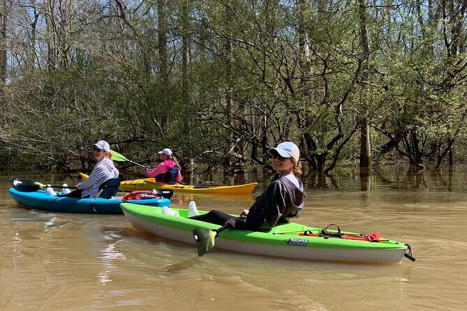 Kayak Tour Of The Honey Island Swamp and Backwaters - An Introduction to the Experience