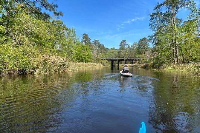 Kayak Tour Of The Honey Island Swamp and Backwaters - Pricing and Value