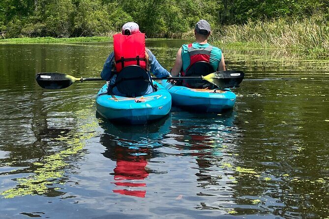 Kayak Tour Of The Honey Island Swamp and Backwaters - Practical Considerations
