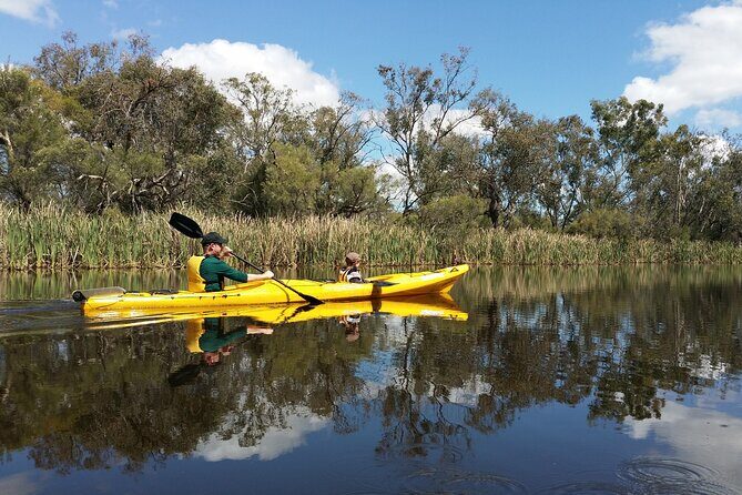 Kayak Tour on the Canning River - Key Points