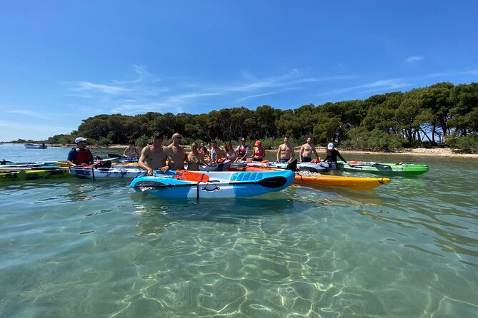 Kayak Tour: Porto Cesareo and the Marine Protected Area - The Experience: Pros and Cons