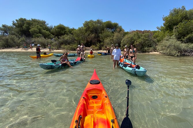 Kayak Tour: Porto Cesareo and the Marine Protected Area - Who Will Love This Tour?