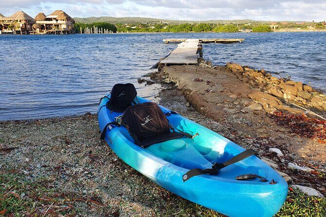Kayak Tour to Seaglass Island - The Sum Up: Who Should Consider This Tour?