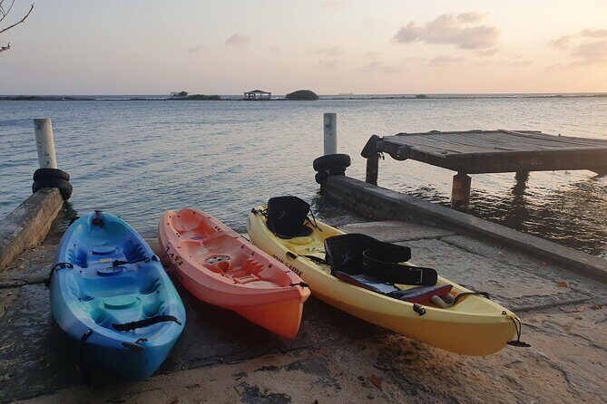 Kayak Tour to Seaglass Island - FAQ
