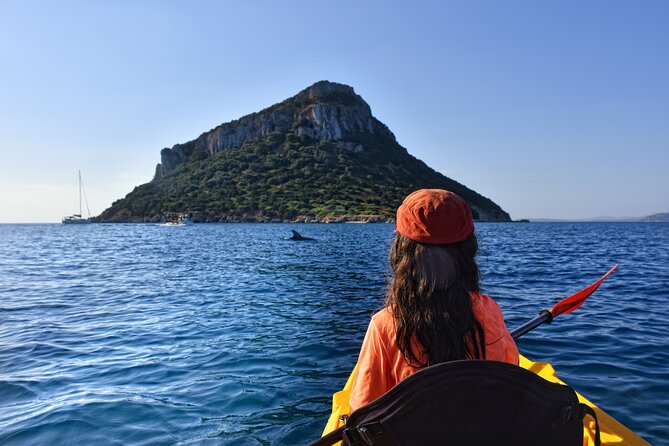 Kayak tour with aperitif and dolphins - Exploring the Kayak Tour with Aperitif and Dolphins in Olbia, Italy