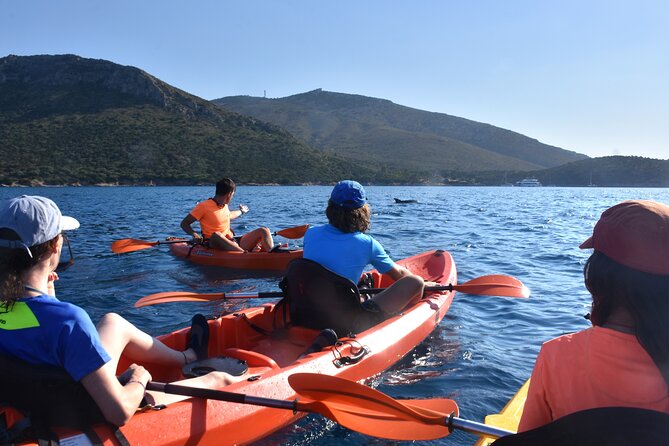 Kayak tour with aperitif and dolphins - What Makes This Tour a Great Choice?