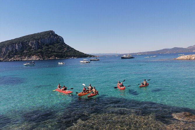 Kayak tour with aperitif and dolphins - Final Thoughts