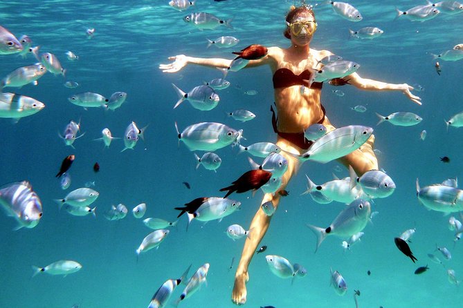 Kayak Tour with Snorkeling and Local Aperitif - What to Expect on the Day