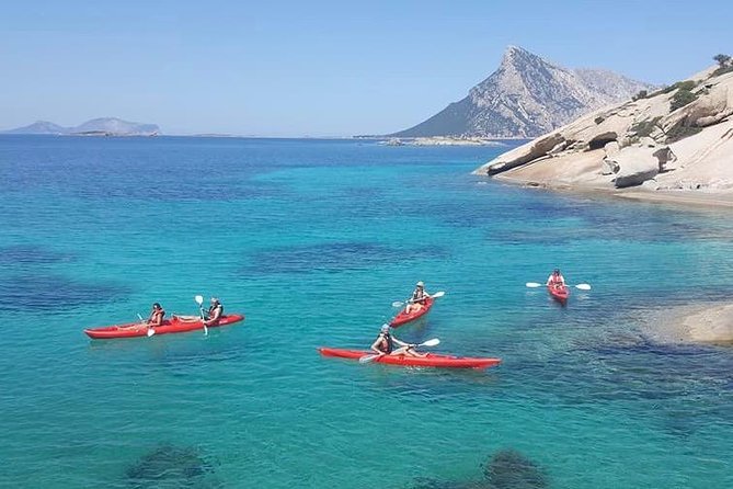 Kayak Tour with Snorkeling and Local Aperitif - Who Will Love This Tour?