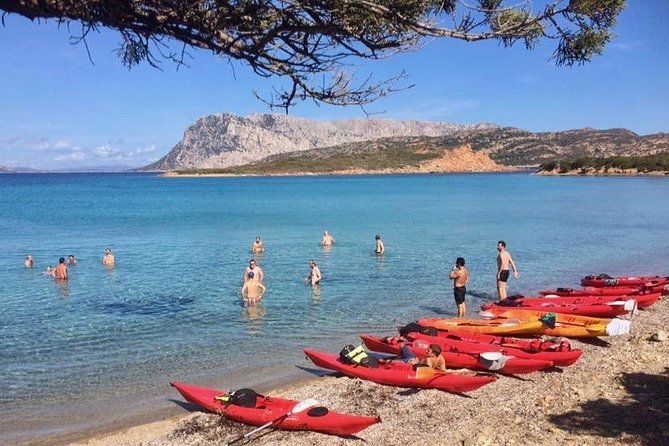 Kayak Tour with Snorkeling and Local Aperitif - The Sum Up: Who Should Consider This Tour?