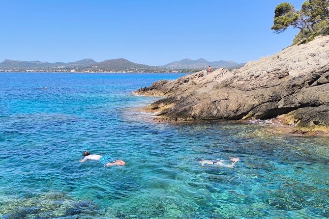 Kayak Tour With Snorkeling and Picnic - Traveler Reviews and Feedback