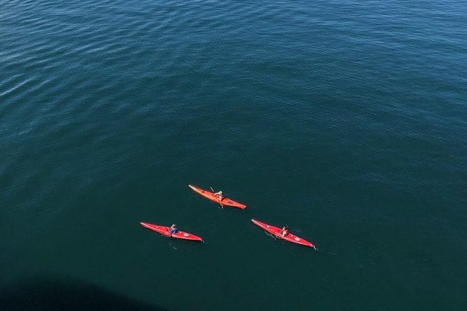Kayak Tours - What Travelers Are Saying