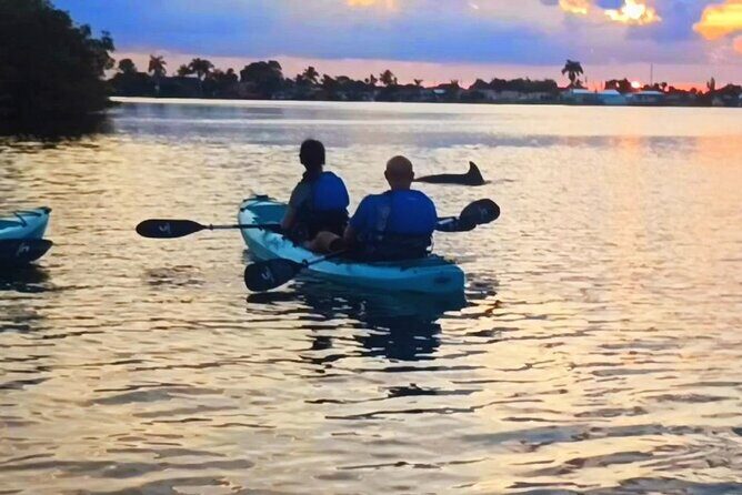 Kayak Tours and Rentals. Dolphins, Manatees, and Bioluminescence! - Key Points