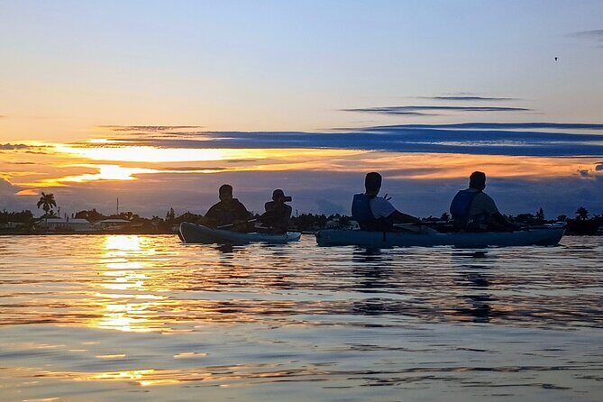 Kayak Tours and Rentals. Dolphins, Manatees, and Bioluminescence! - Final Thoughts: Is It Worth It?